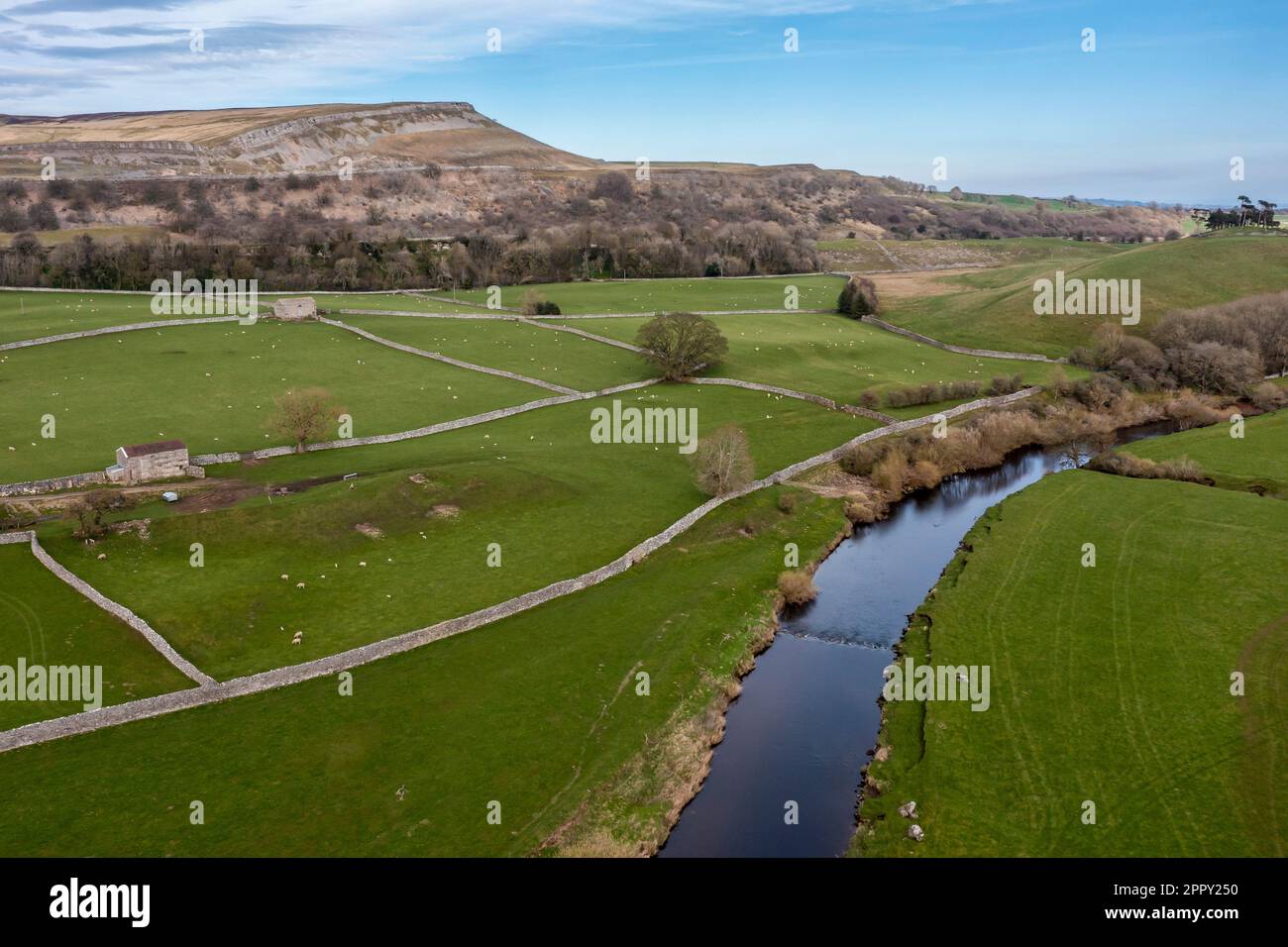 elevated panoramic view looking east of the river ure and ivy scar at ...