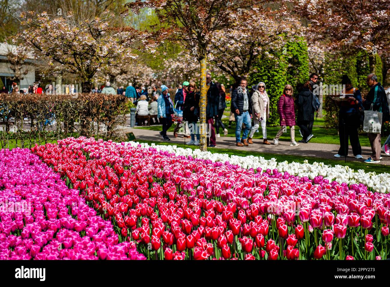 Worlds Most Beautiful Park Flower Visitors From All Over The World Are