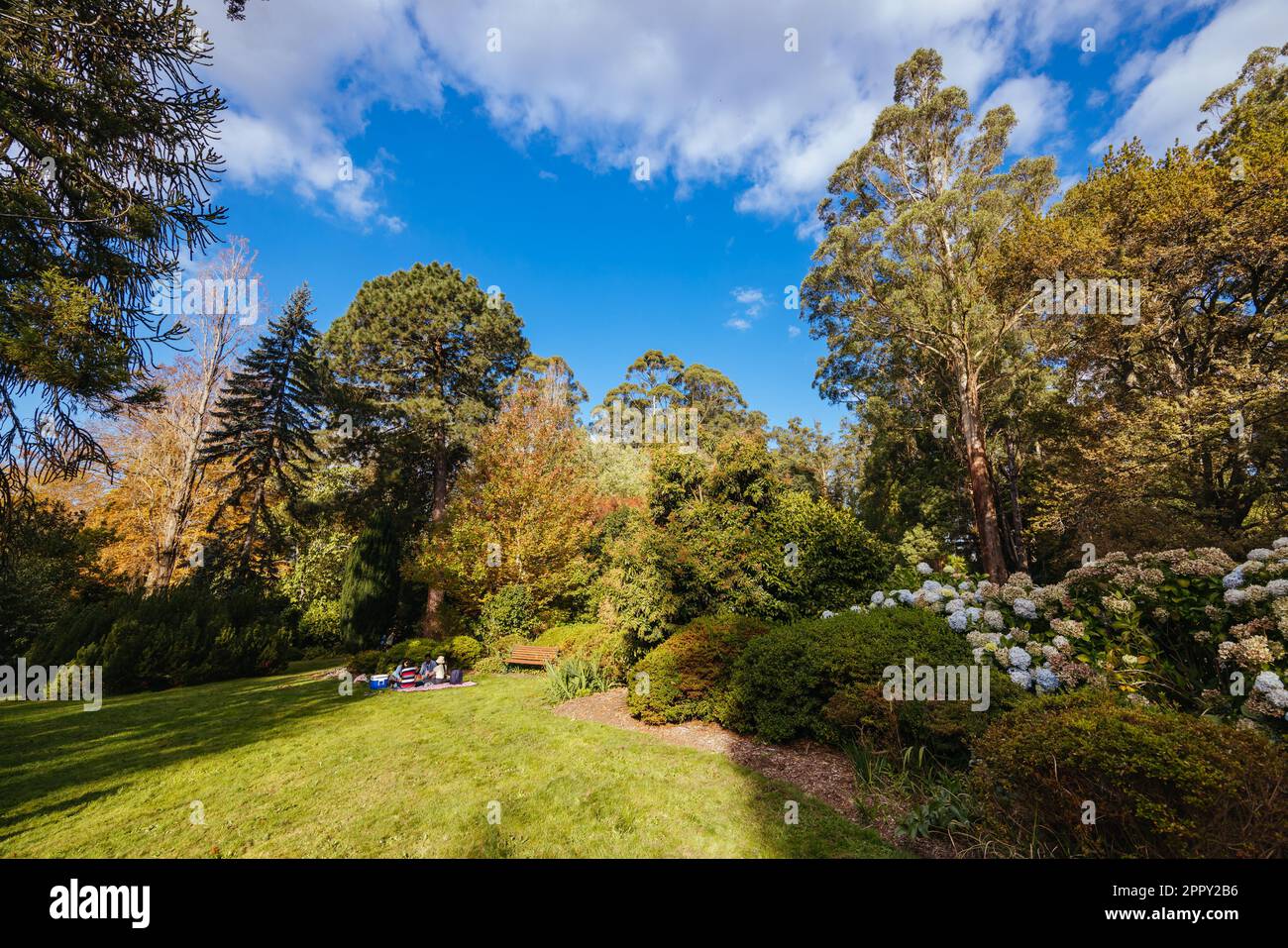 George Tindale Memorial Gardens in Australia Stock Photo - Alamy