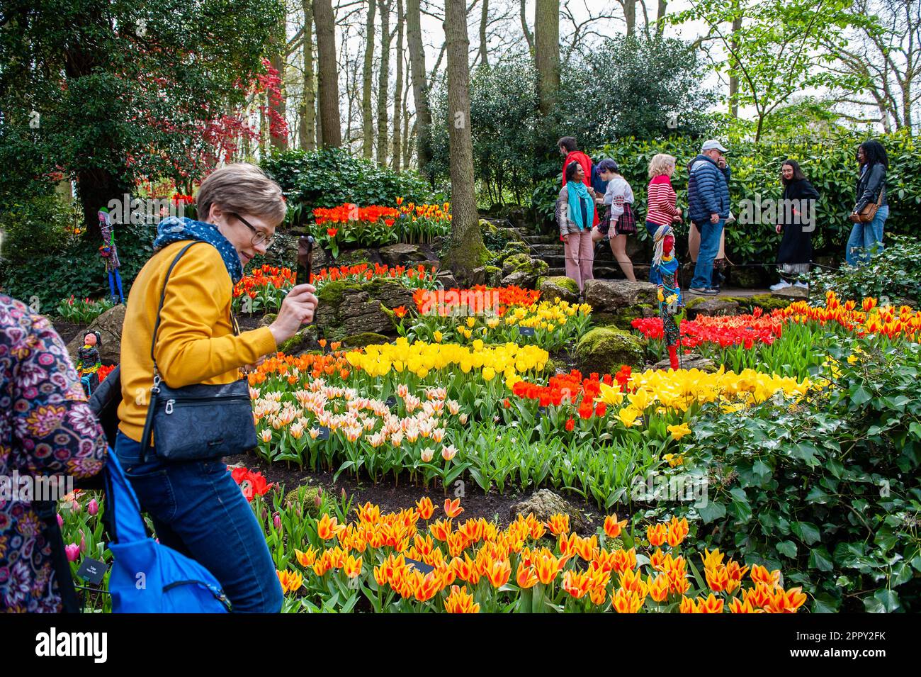 Visitors are seen walking through the garden. Keukenhof is also known ...