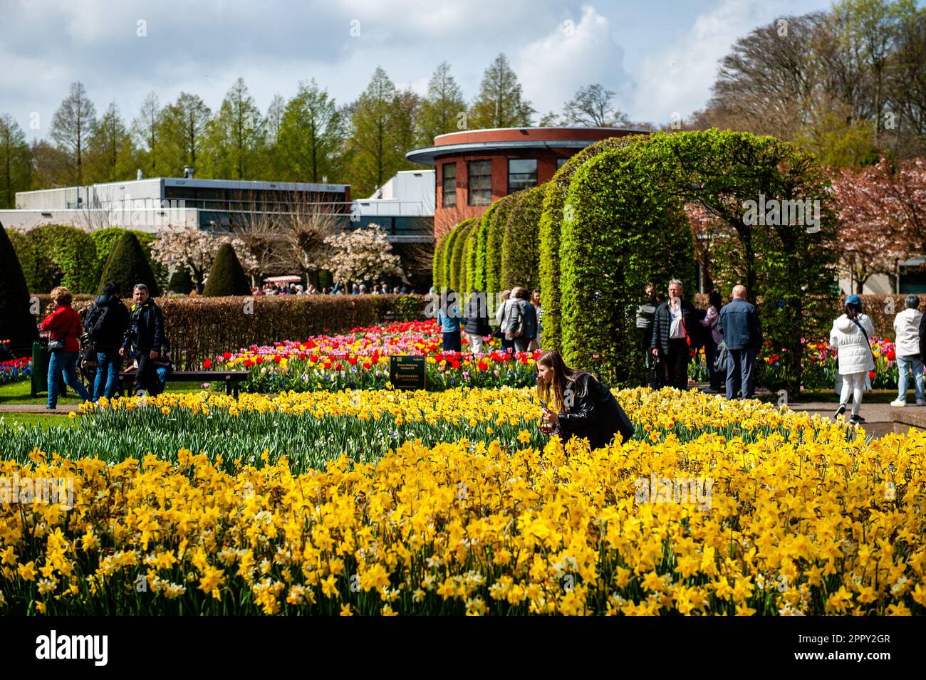 People are seen taking photos through the flowers. Keukenhof is also ...