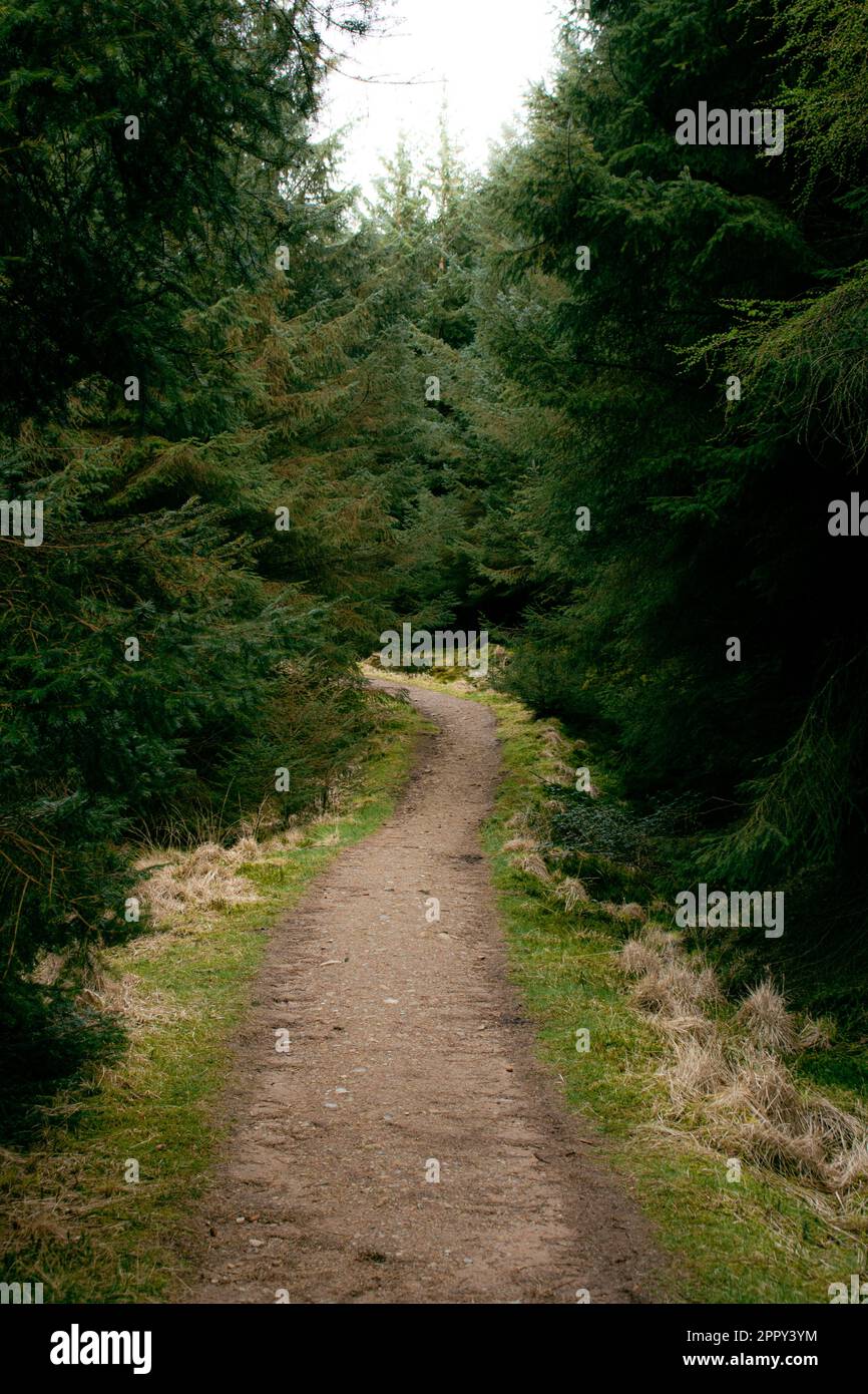 Kings pathway hi-res stock photography and images - Alamy