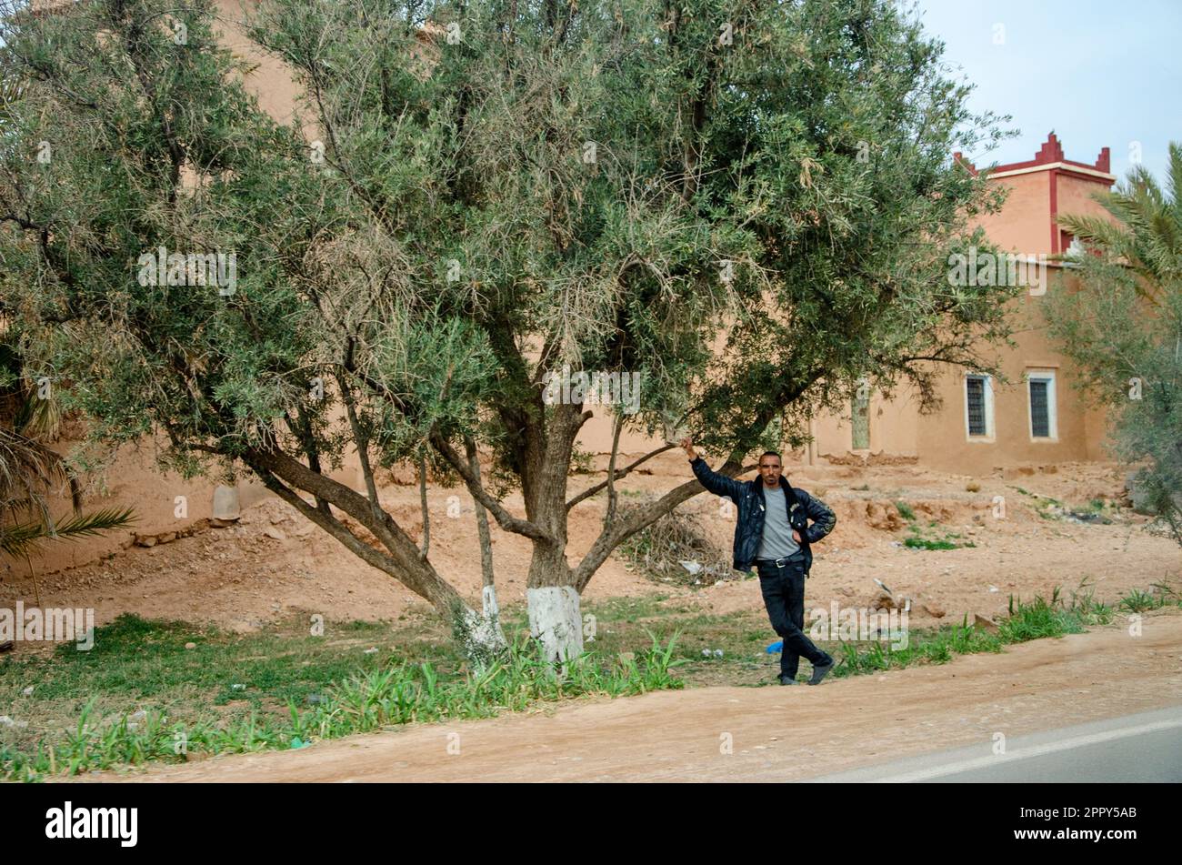 Man waiting for a bus under a tree, rural Morocco Typical architecture ...
