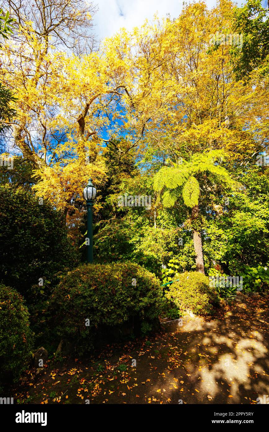 George Tindale Memorial Gardens in Australia Stock Photo - Alamy