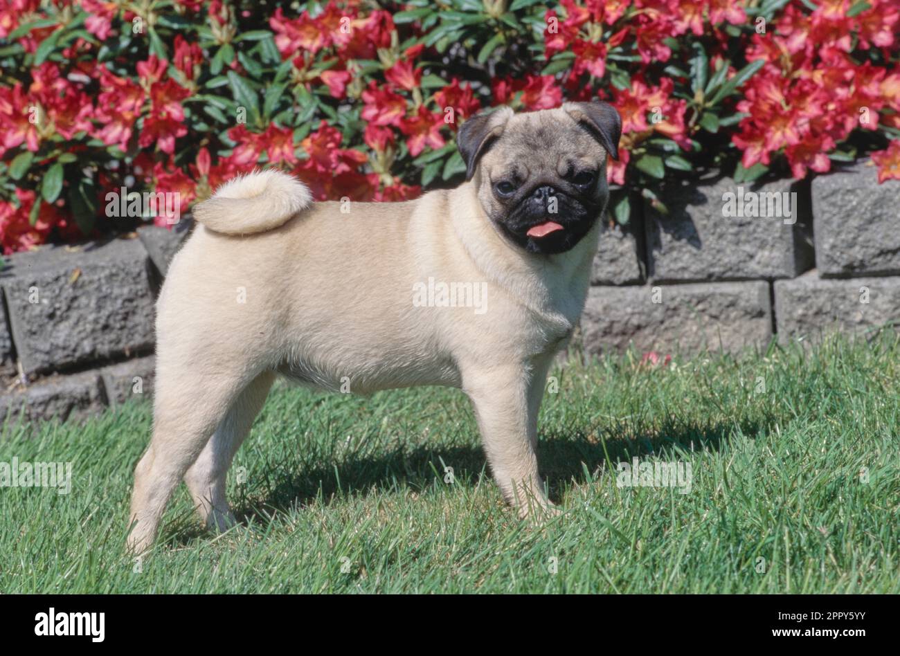 Block border hi-res stock photography and images - Alamy