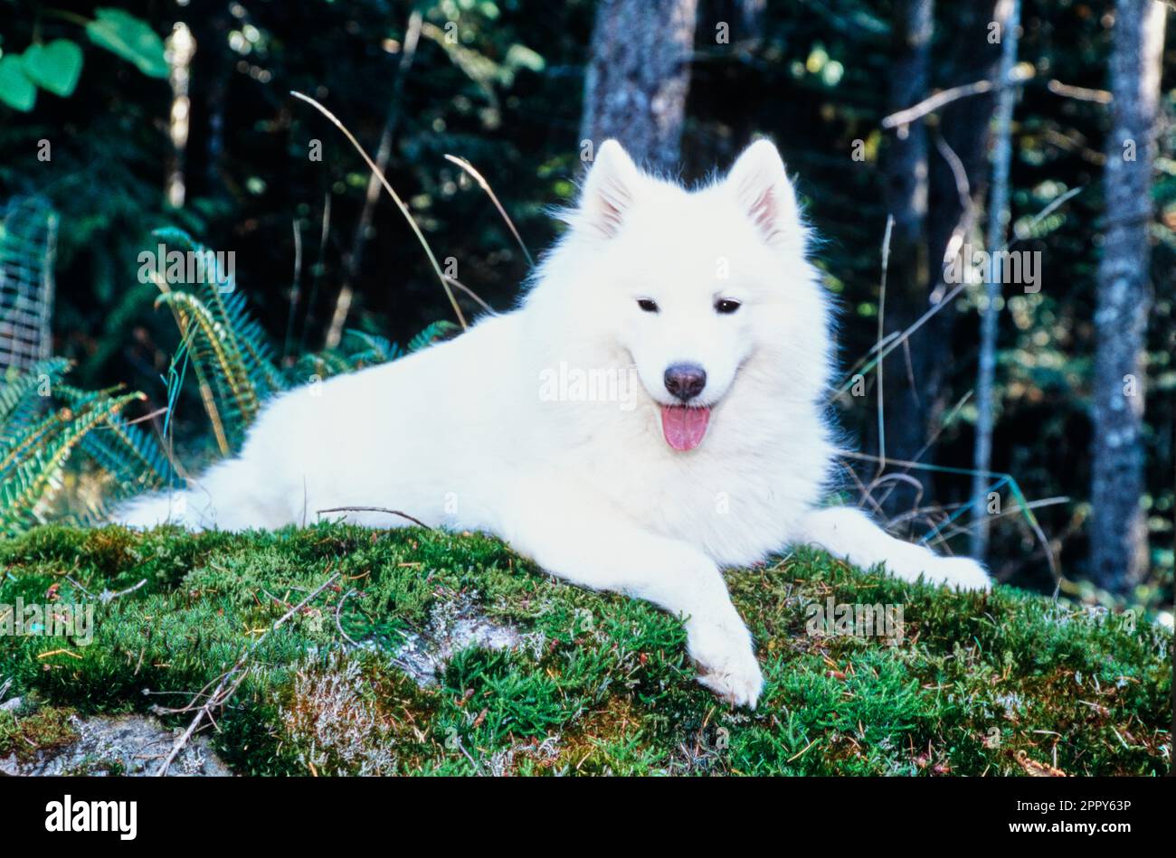 Surrounded with grass hi-res stock photography and images - Alamy