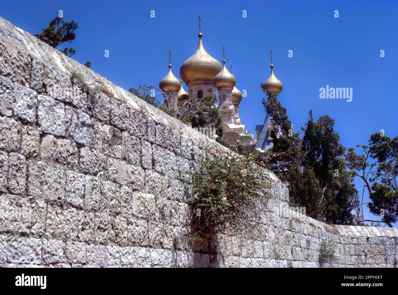 The Church of Mary Magdalene with its golden spires on the path to the ...