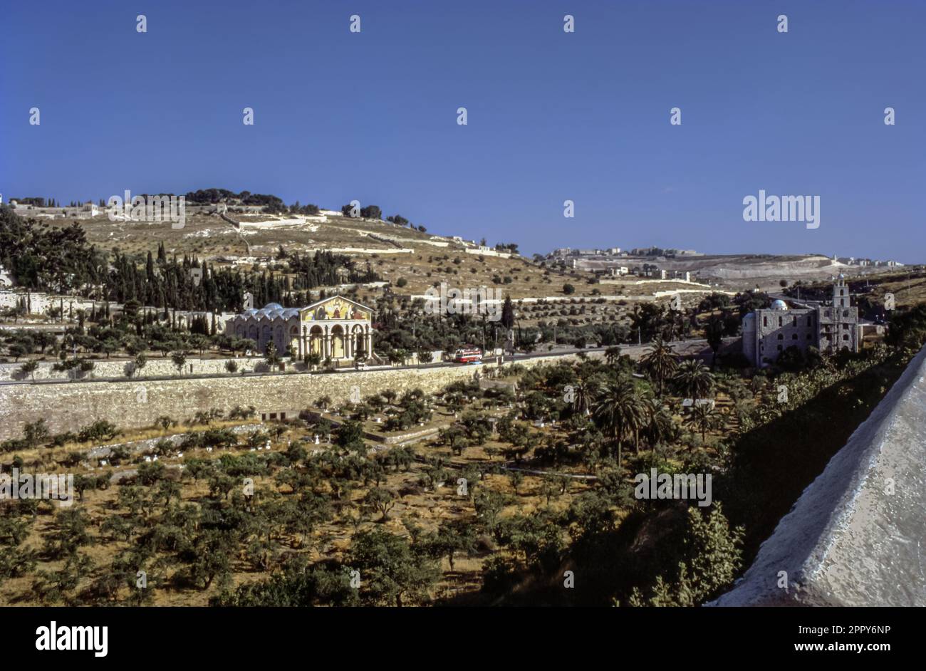 The Garden of Gethsemane from the Mount of Olives - Jerusalem - Israel ...