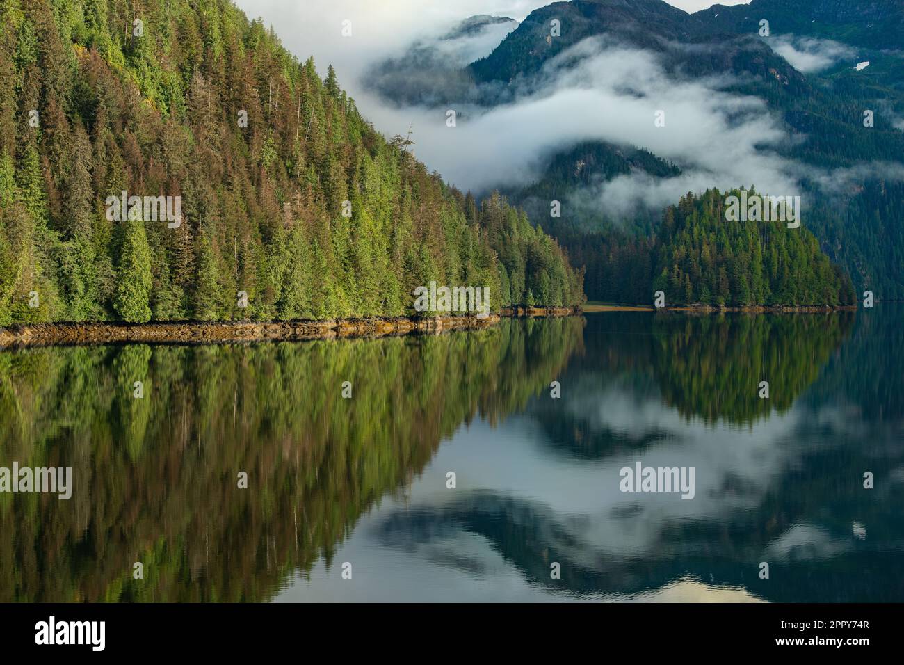 Fog rolling through mountain and over lake in Misty Fjords National ...