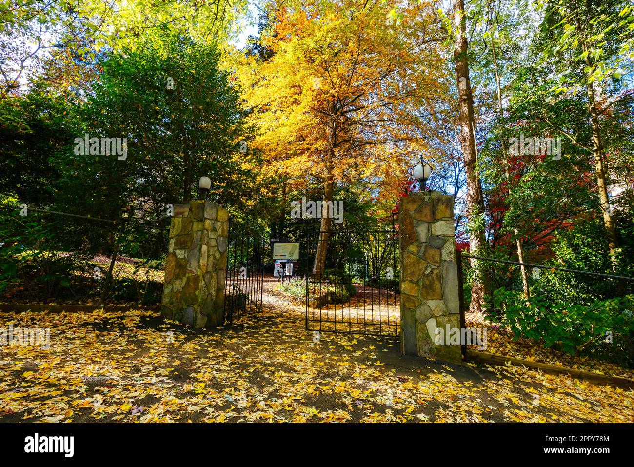 George Tindale Memorial Gardens in Australia Stock Photo - Alamy