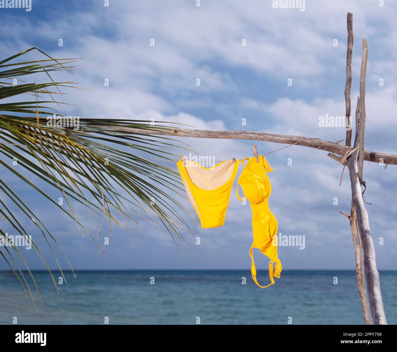 Yellow bikini drying on makeshift line in tropical setting Stock Photo ...