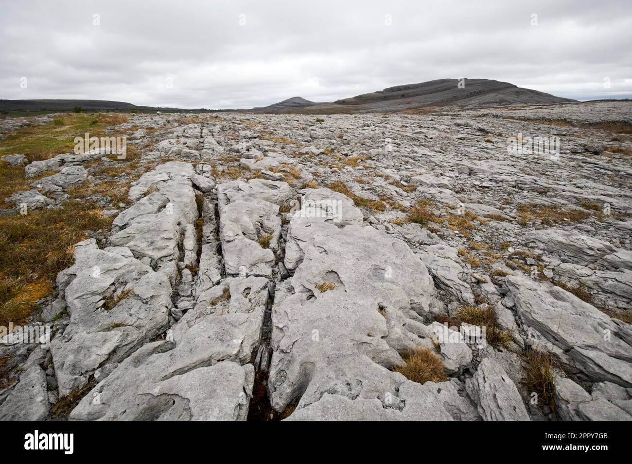 grikes (open cracks) and clints (flat rock sections) in the limestone ...