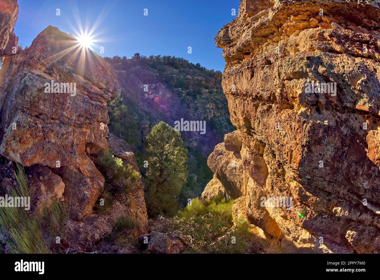 The Desert View Cliffs viewed from a crevice in a rock island just off ...