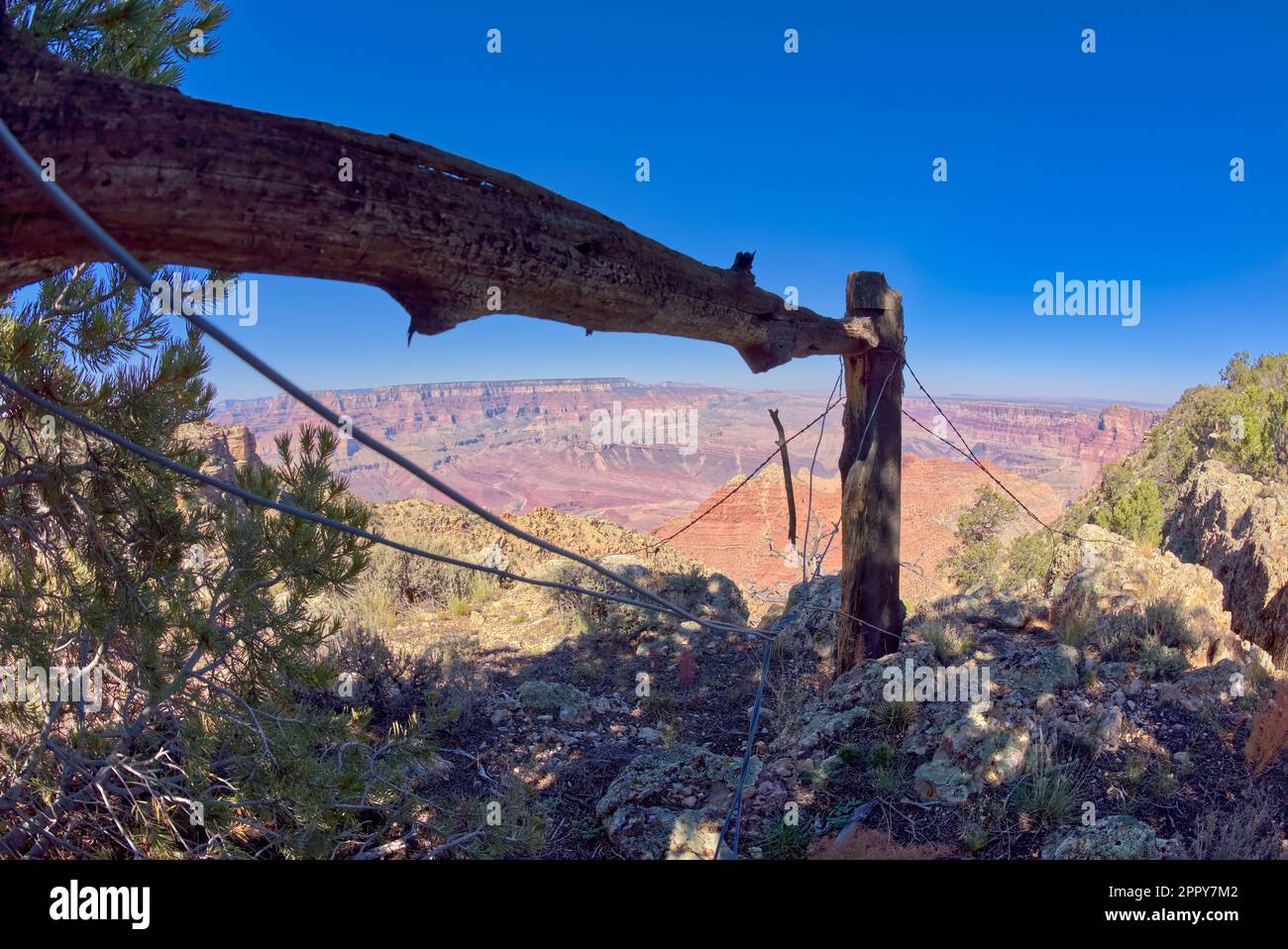 A fence remnant from the early days of Grand Canyon Arizona that marks ...