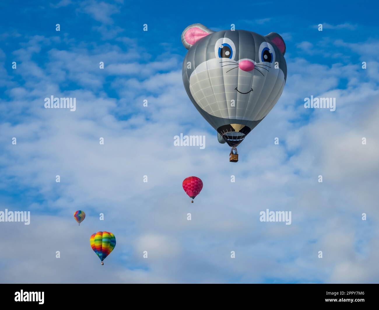 Speacial Shape, Cat Balloon, Mass Ascension, Albuquerque International ...