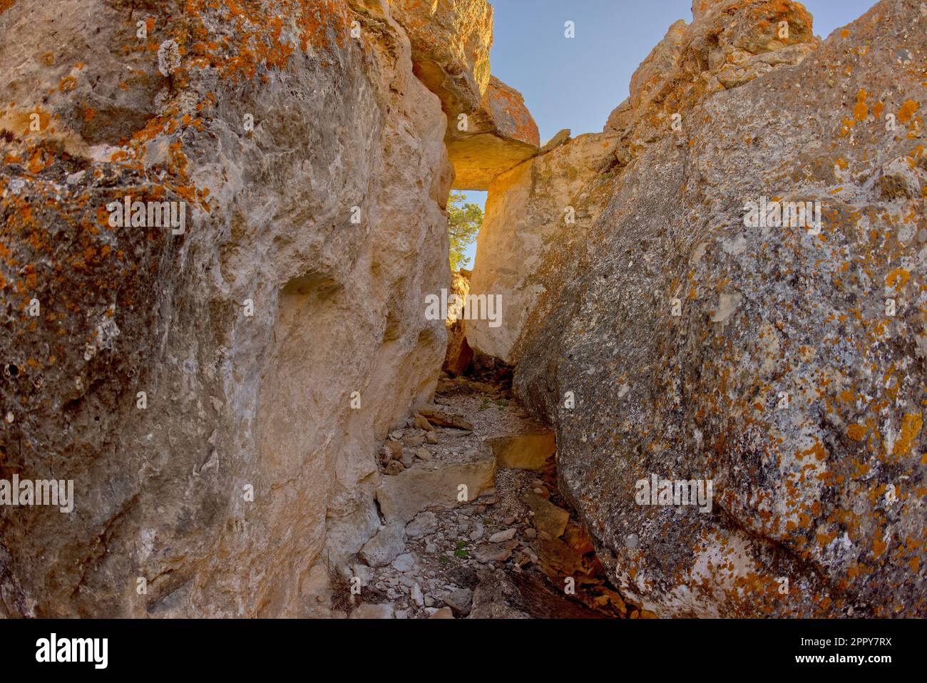 A crevice in a rock island just off the cliff line east of Desert View ...