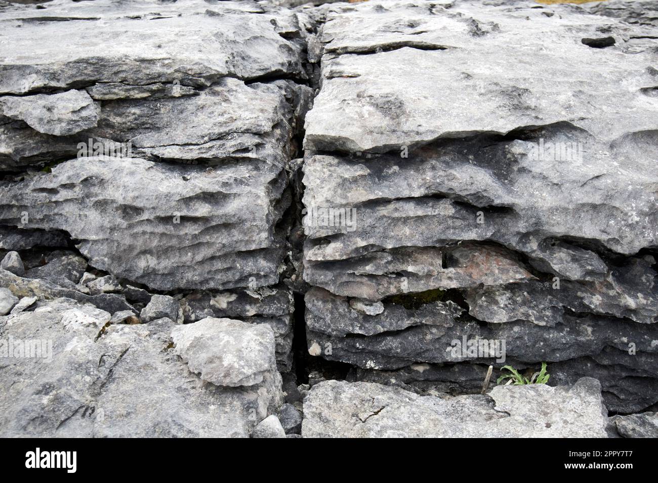 cross section of grikes (open cracks) and clints (flat rock sections ...
