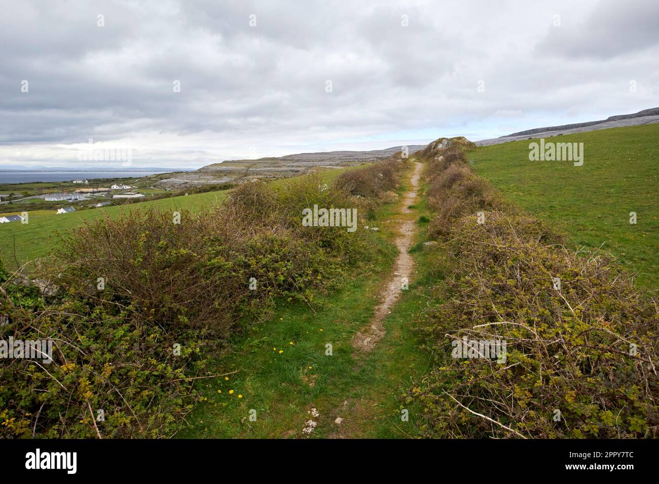 Relief remains hi-res stock photography and images - Alamy