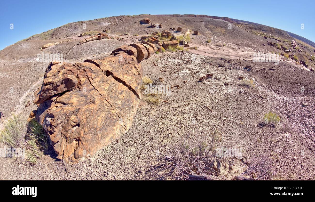 Onyx trail hi-res stock photography and images - Alamy