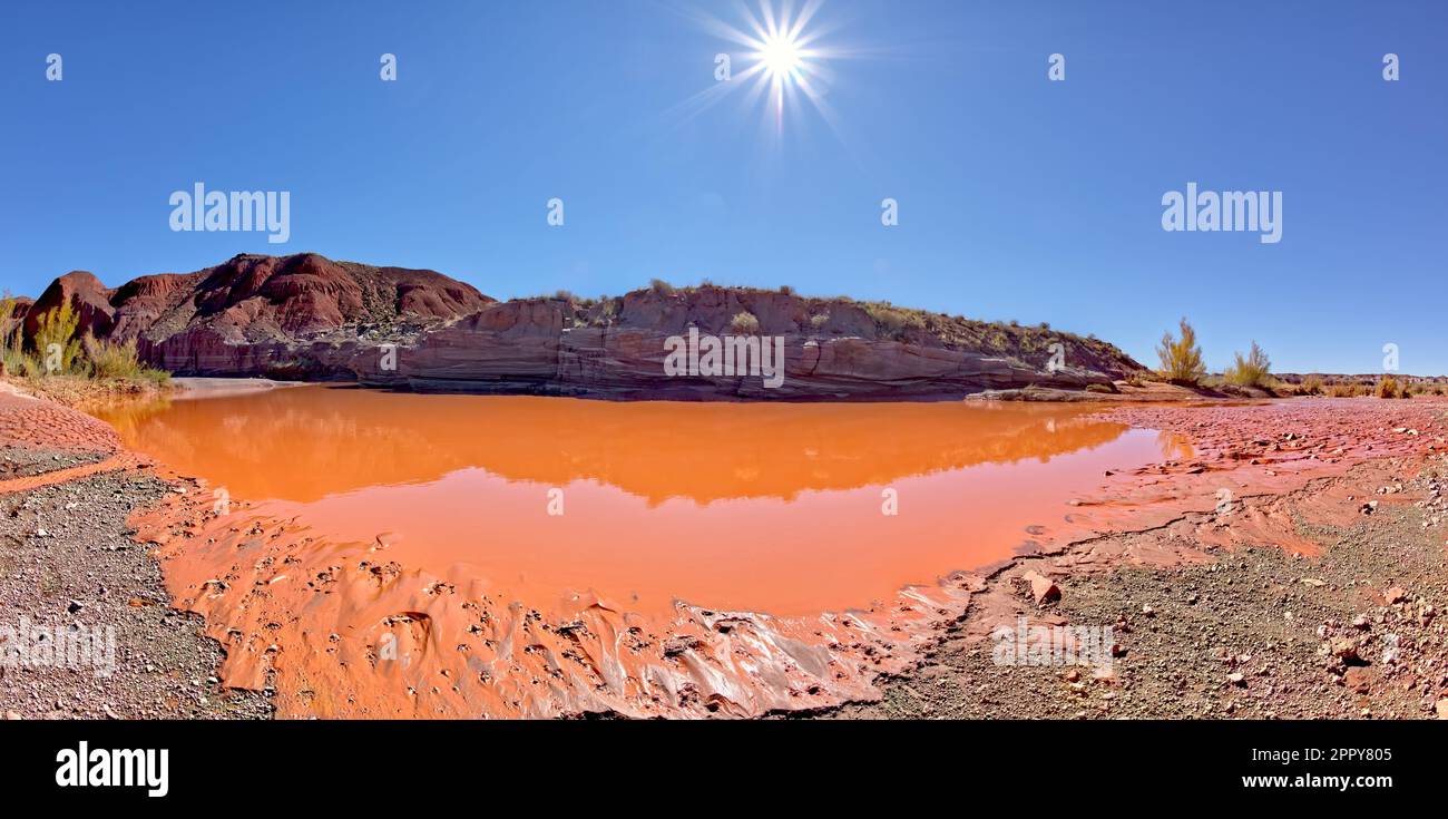 The red water of Lithodendron Wash in Petrified Forest National Park ...