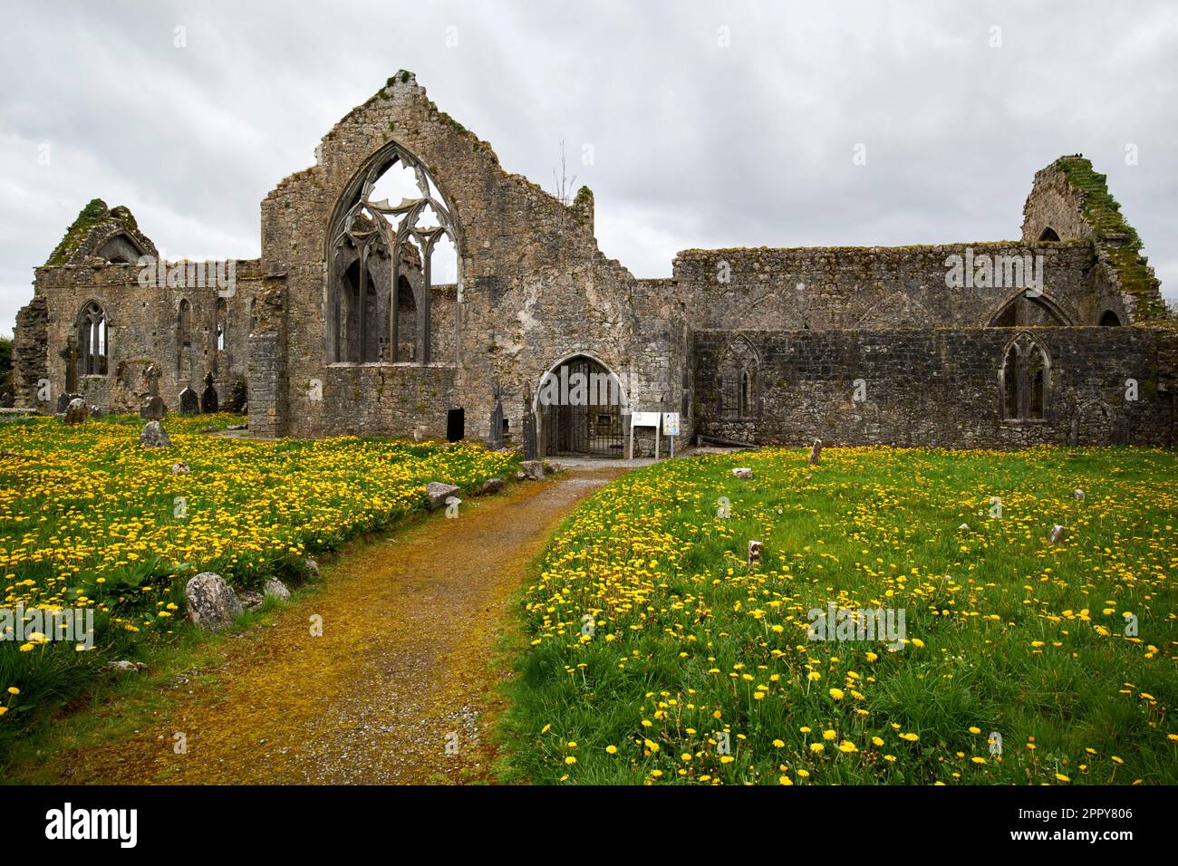 priory church of saint peter and saint paul or athenry priory athenry ...