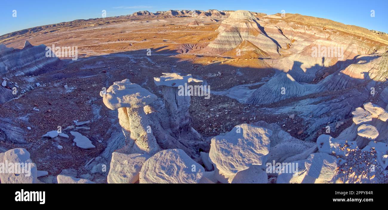 View of the Blue Forest plains from the lower part of Blue Mesa in ...