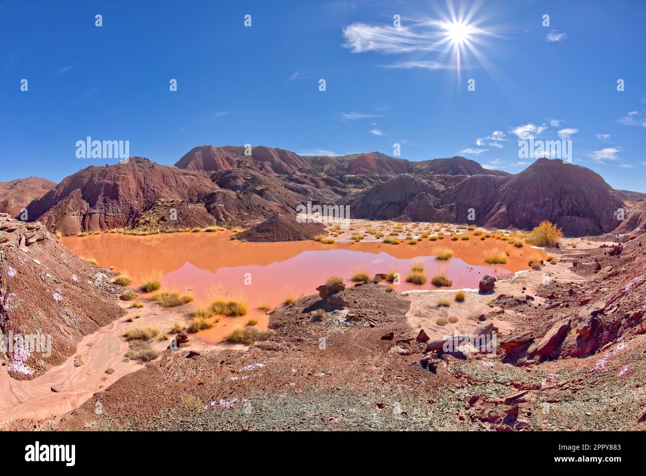 A marshy watering hole in Petrified Forest National Park Arizona called ...
