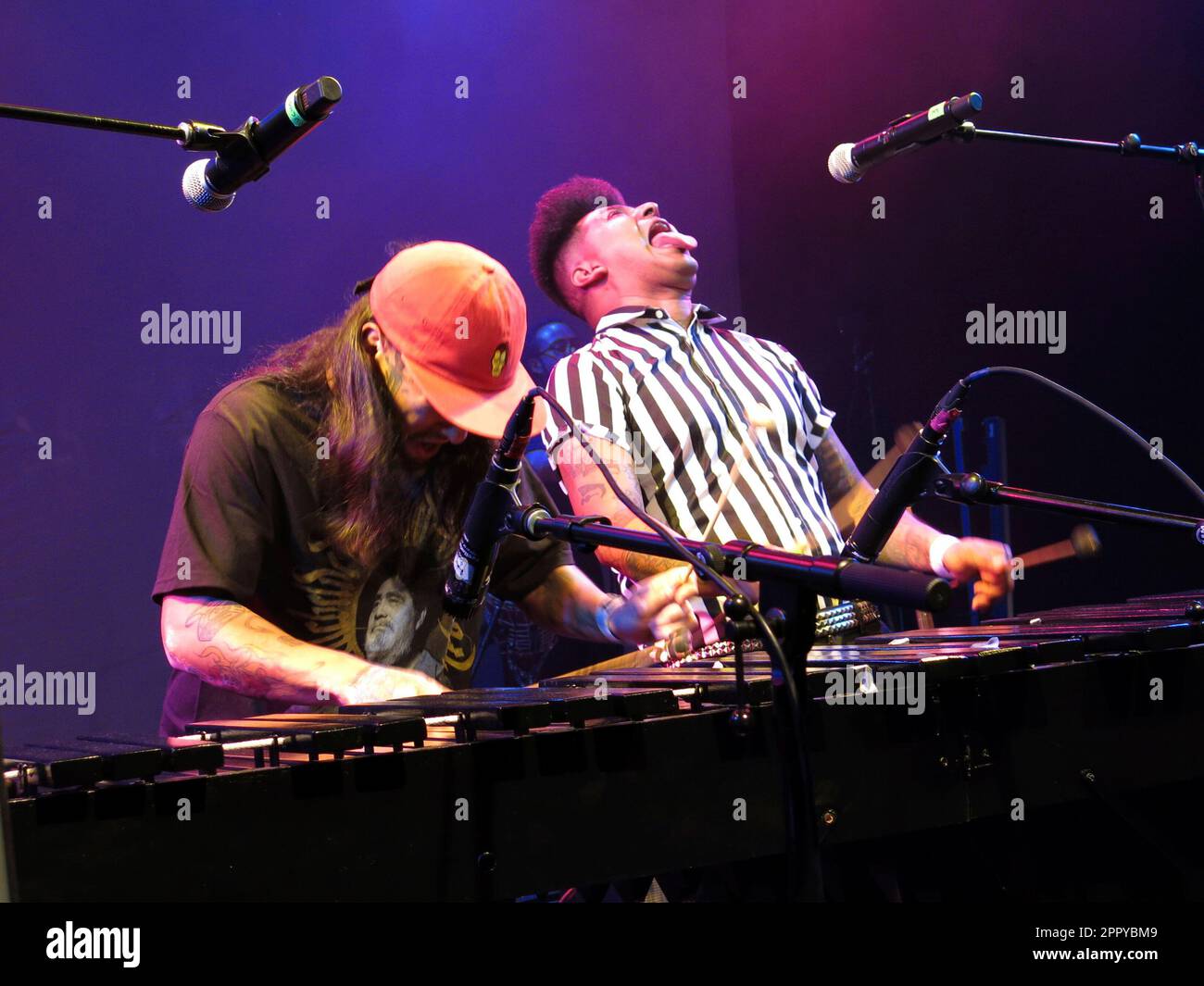 Members of the Mexican fusion band Son Rompe Pera, Jose Angel "Kacho ...