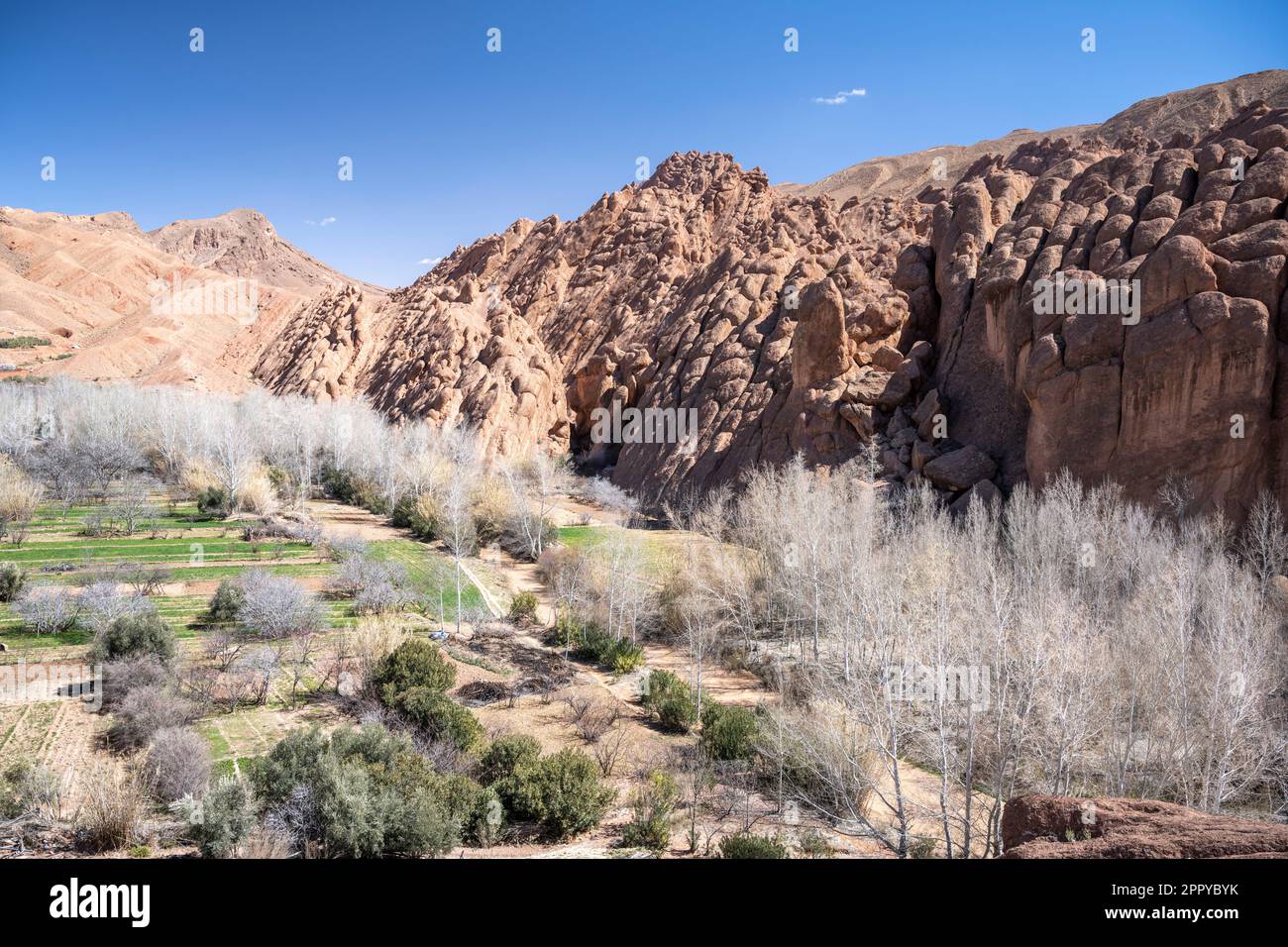 Rock formations known as monkey fingers in the Dades Valley Stock Photo ...