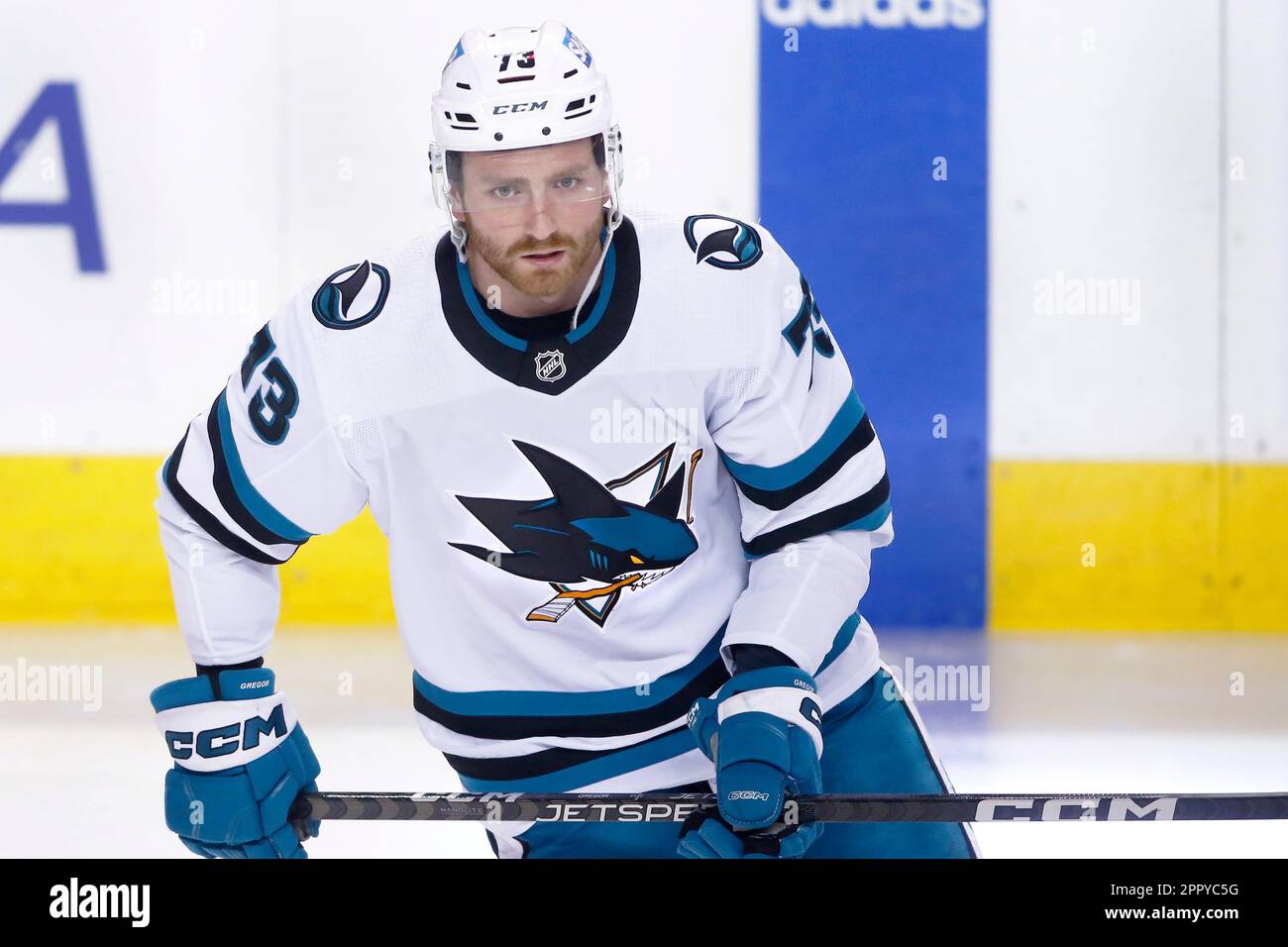 NHL profile photo on San Jose Sharks player Noah Gregor at a game ...