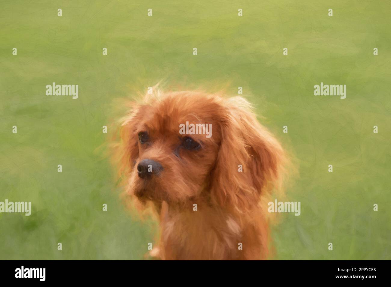 Digital painting of a closeup profile shot of a single isolated ruby ...