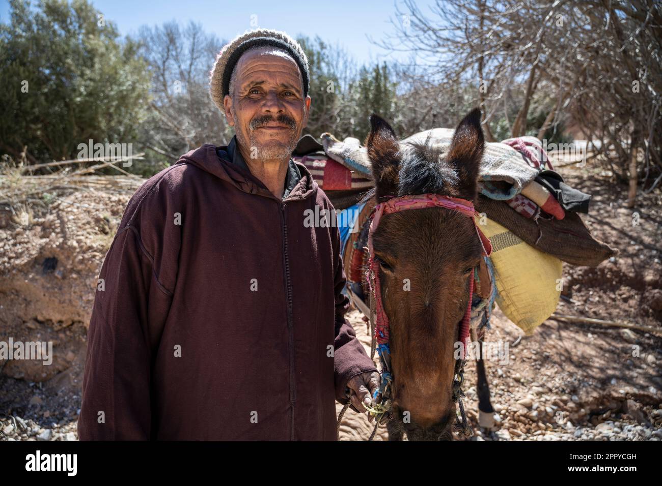 Berber man dressed in the traditional djellaba, with a mule Stock Photo ...
