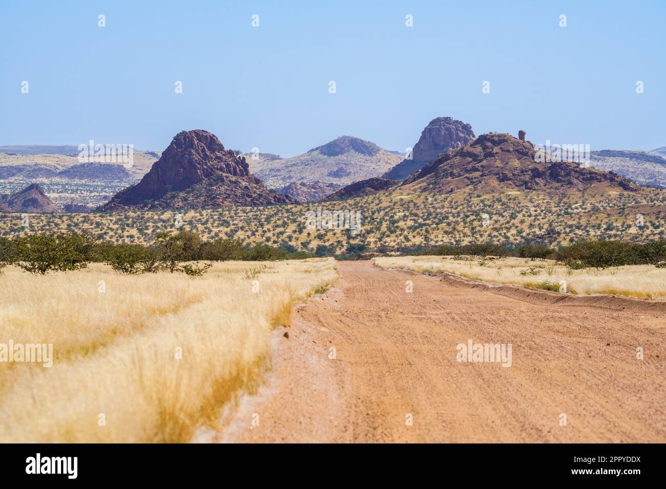 Gravel road leading far to the distance and horizon of the Namibian ...