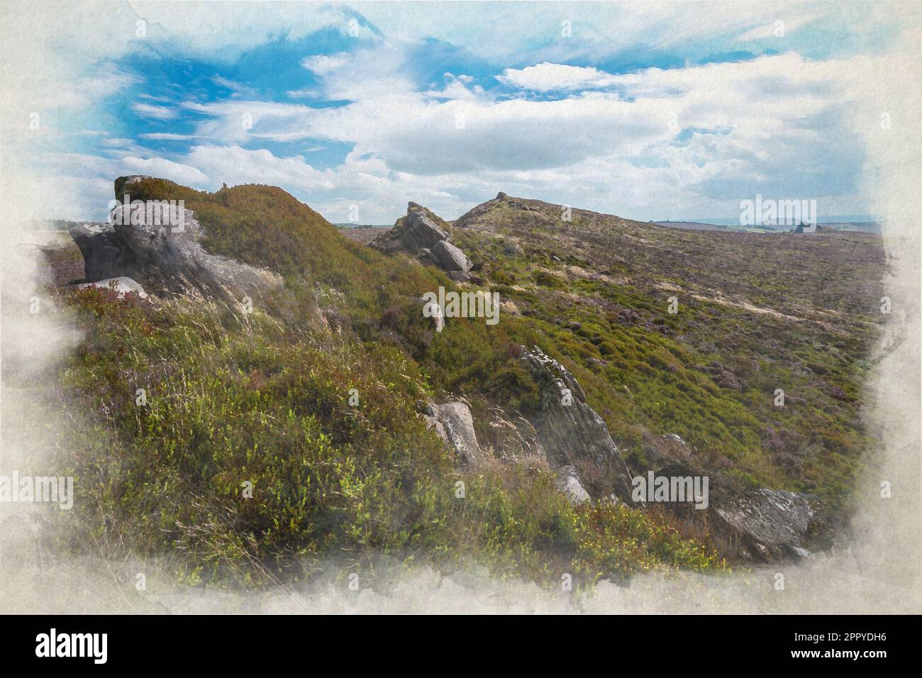 Digital watercolour painting of purple heather at Gib Torr looking ...