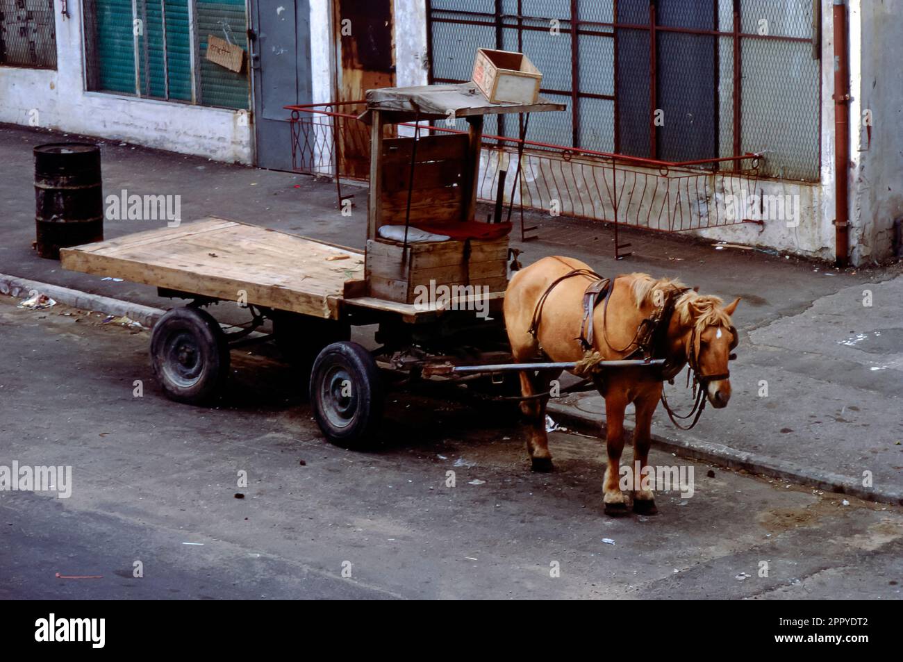 Horse and old cart delivery system parked in street of Tel Aviv Stock ...