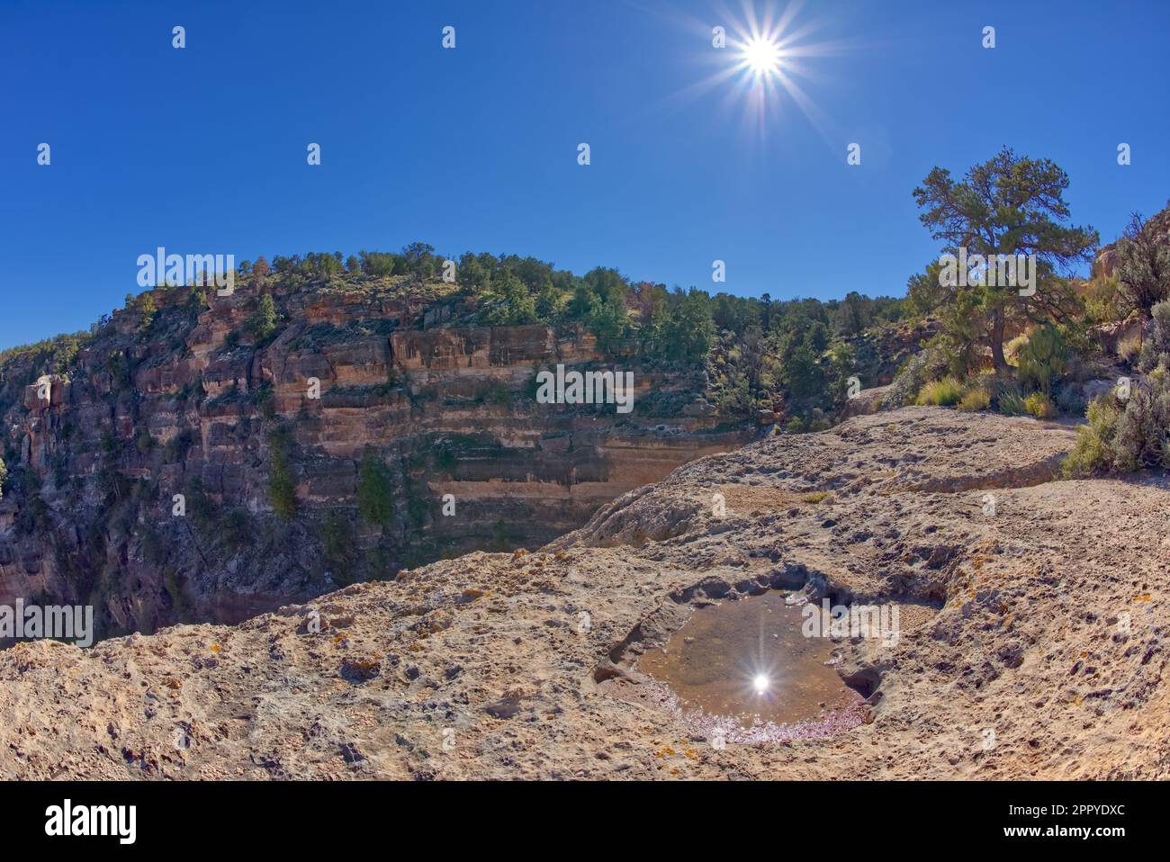 The eastern cliffs of Desert View Point at Grand Canyon Arizona Stock ...