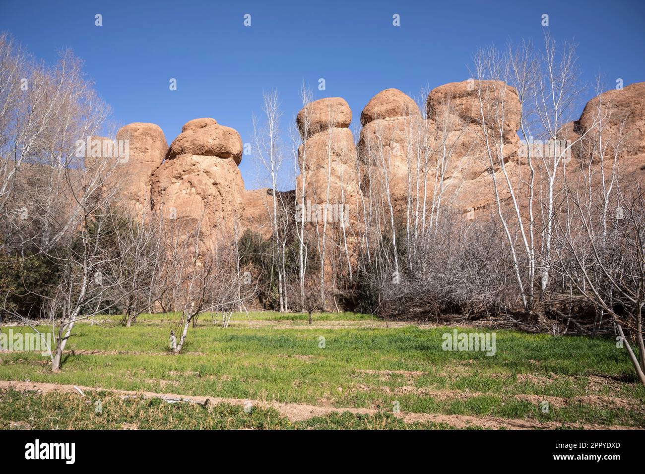 Rock formations known as monkey fingers in the Dades Valley Stock Photo ...