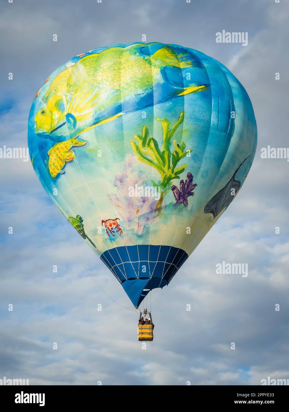 Sealife aquatic themed hot air balloon against clouds and sky, Mass ...
