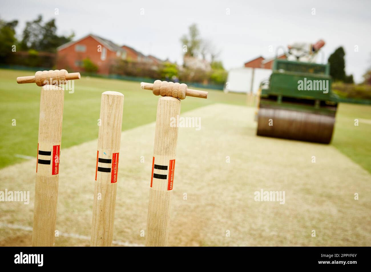 Groundsman preparing cricket pitch Stock Photo - Alamy