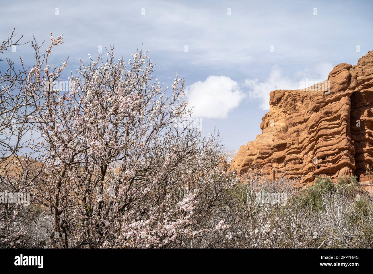 Landscape with flowering almond trees near the rock formations known as ...