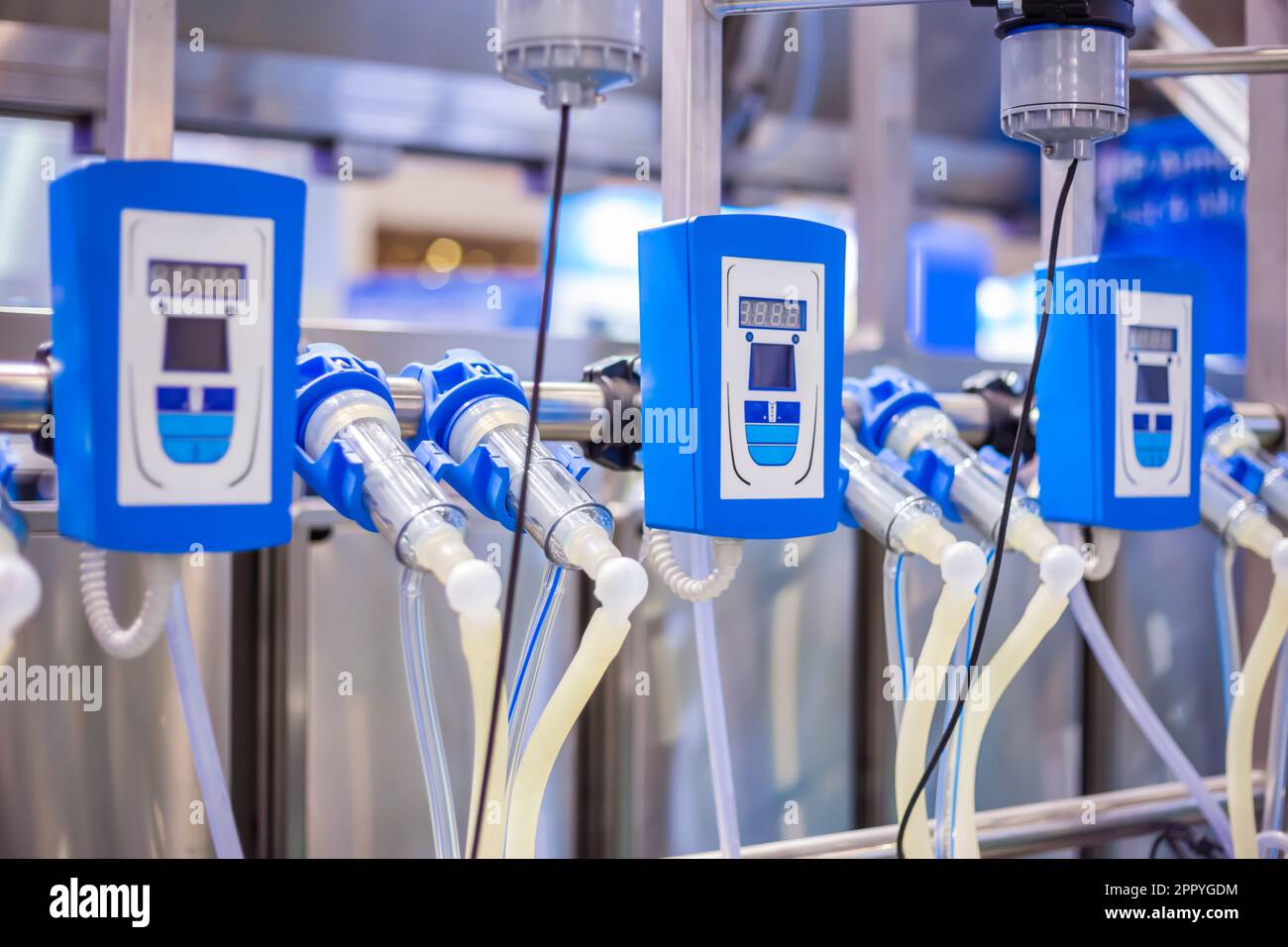 Goat milking device hi-res stock photography and images - Alamy