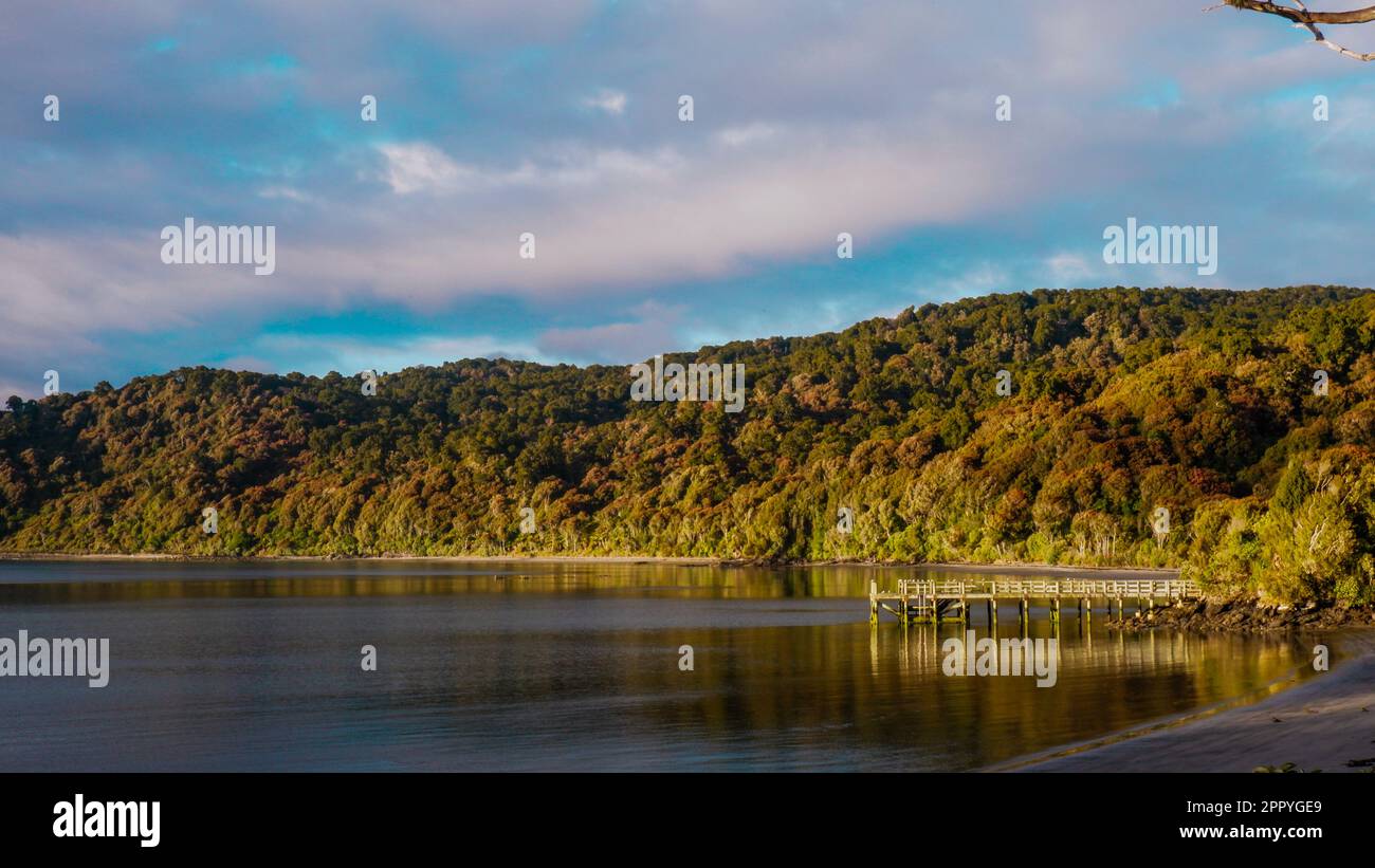 A still bay at sunrise, Stewart Island, New Zealand Stock Photo - Alamy