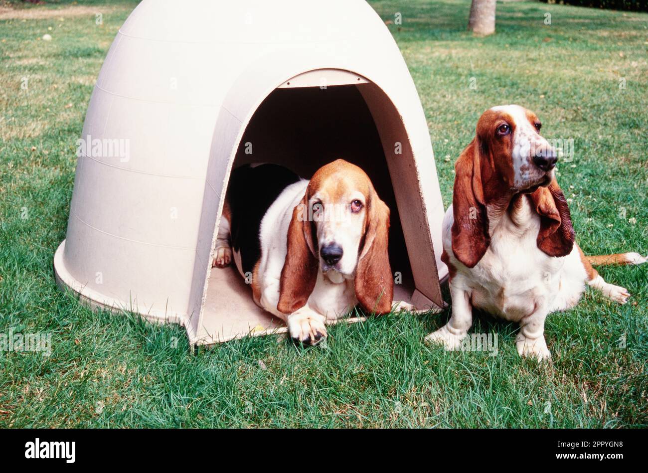 Resting outside their house hi-res stock photography and images - Alamy