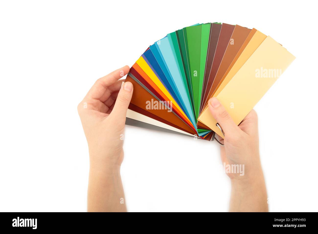 Colors range palette on hand isolated on white background. Top view ...