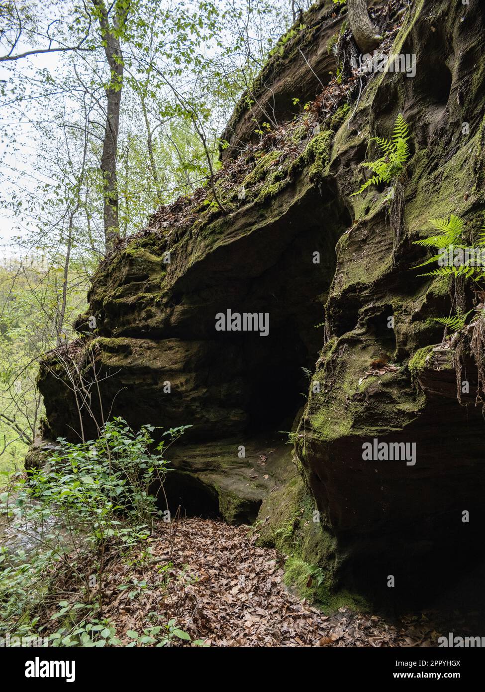 Little grand canyon illinois hi-res stock photography and images - Alamy