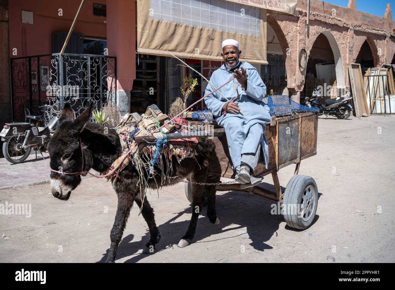 Man riding a donkey cart through the streets of Skoura Stock Photo - Alamy