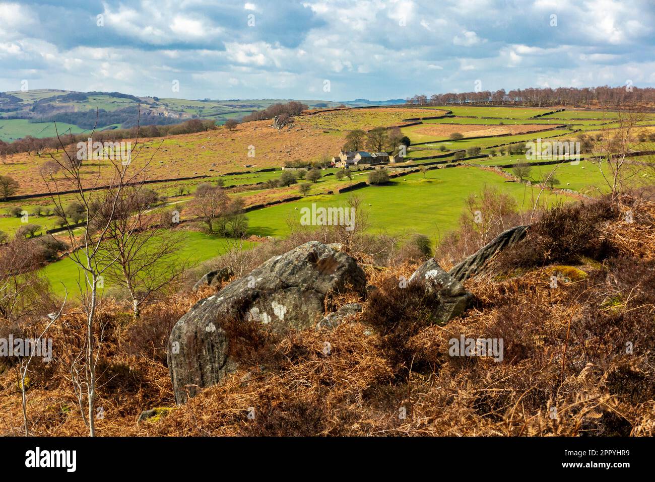 Birchen edge trees hi-res stock photography and images - Alamy