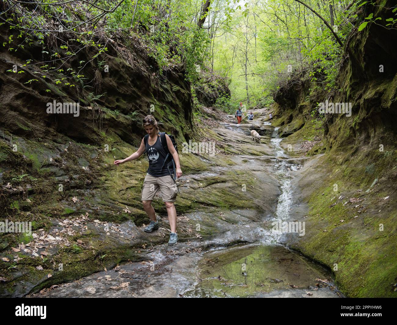 Little Grand Canyon trail in the Shawnee National Forest Stock Photo ...