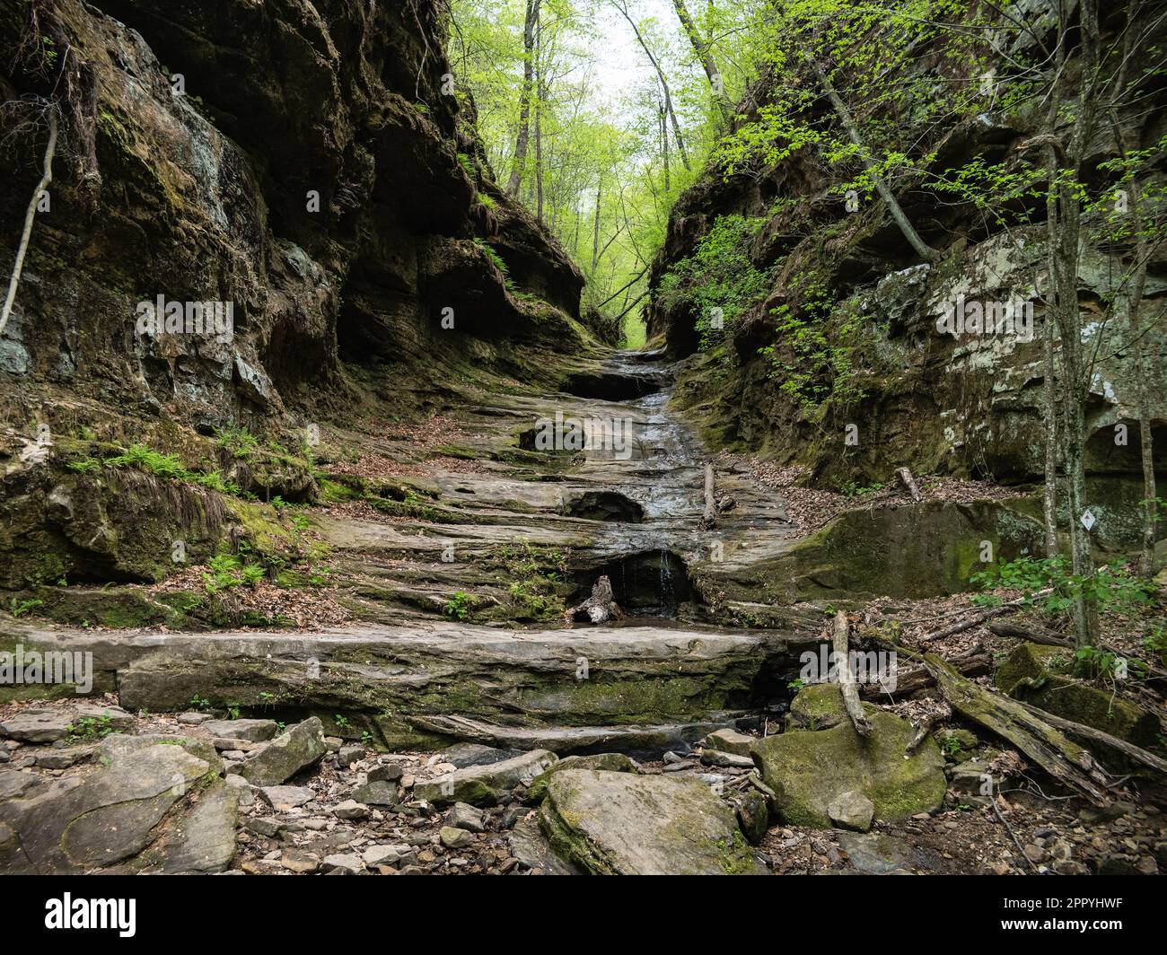 Little Grand Canyon trail in the Shawnee National Forest Stock Photo ...