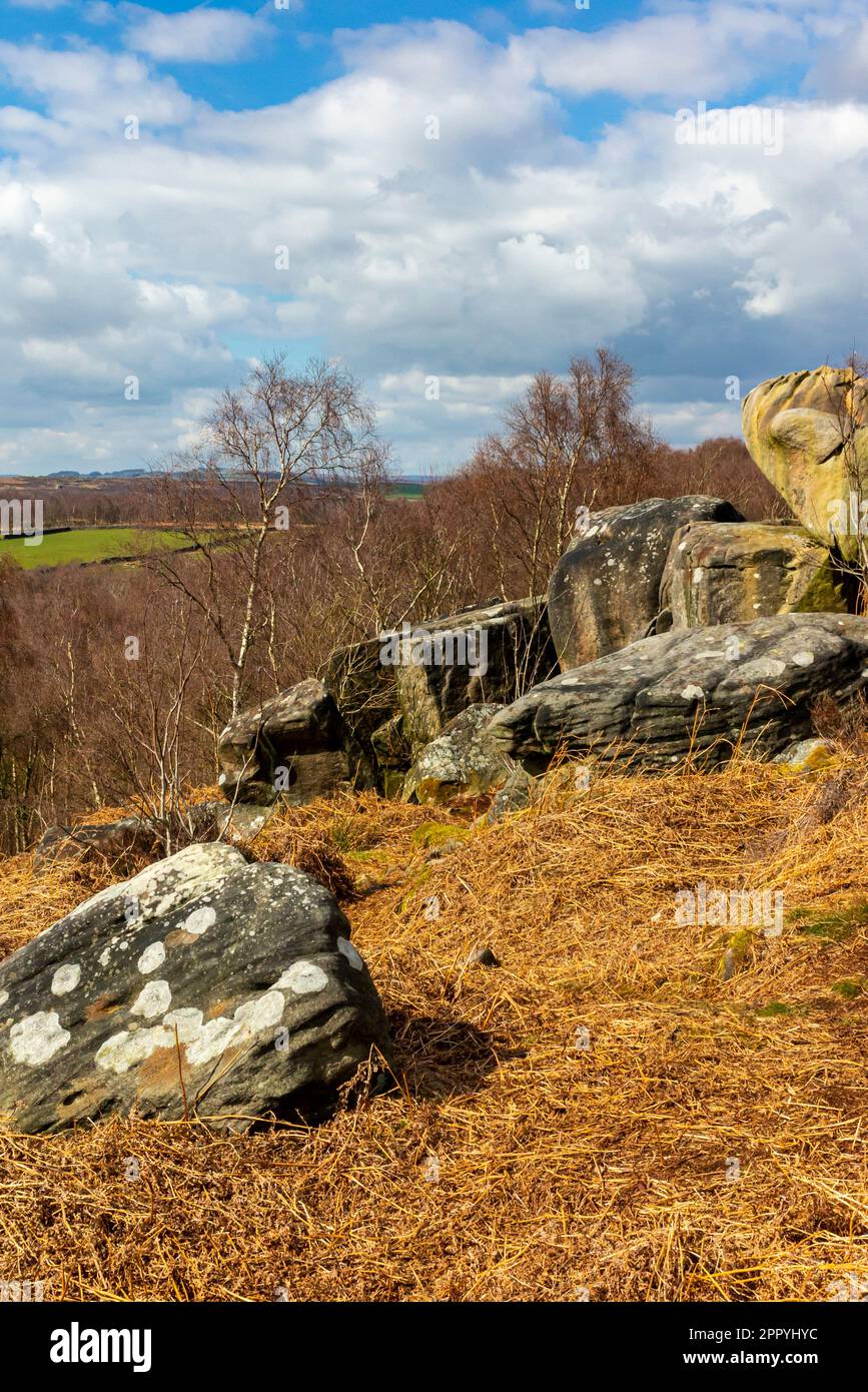 Winter view with rocks and trees at Birchen Edge near Baslow in the ...